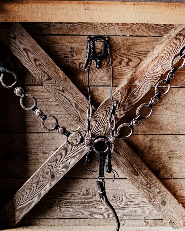 PLR Basic Betty Black Tack Set – Pistol Lilly Ranch